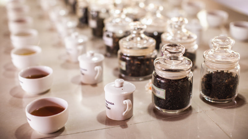 Take your relationship with tea to the next level: become a tea taster ...