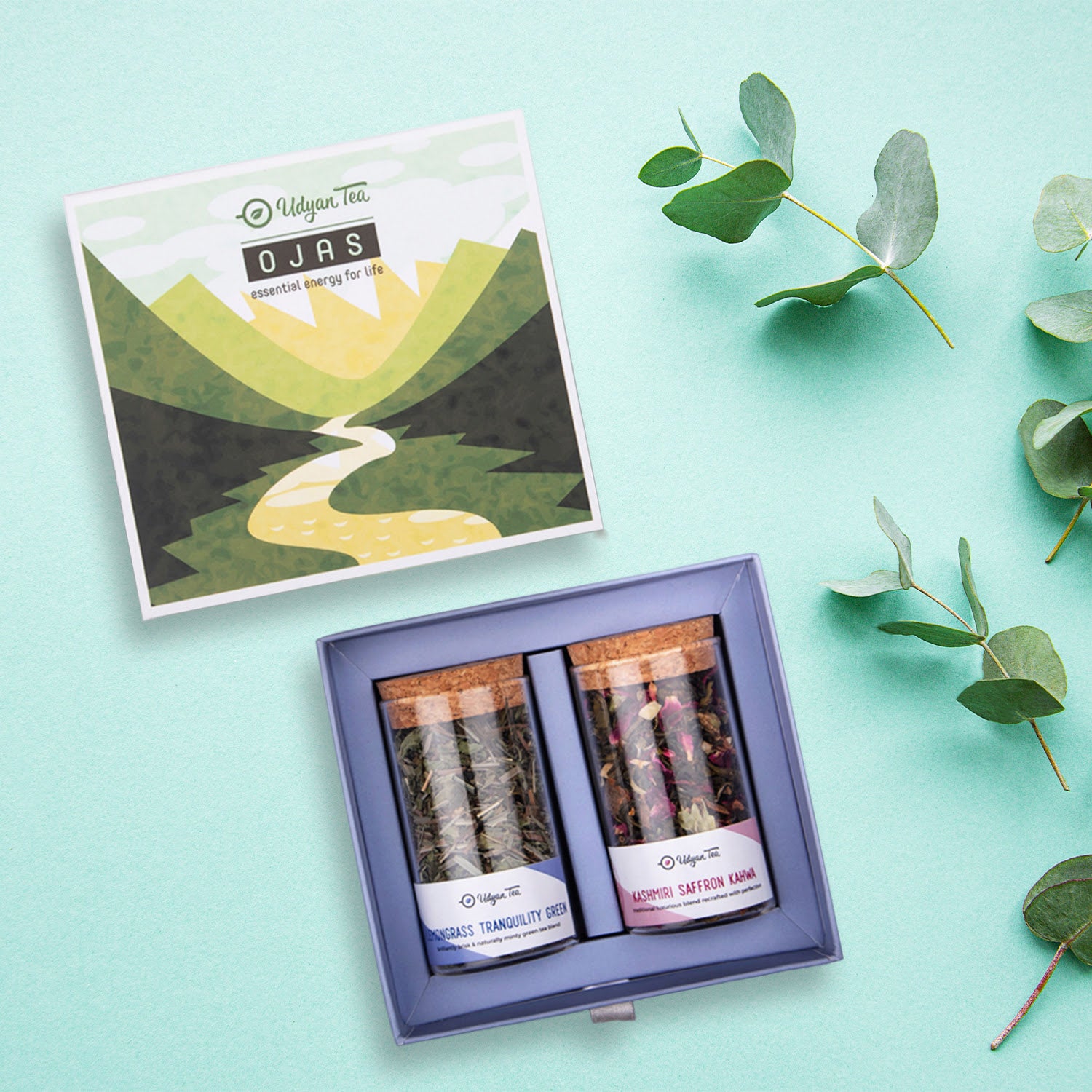 Ojas - Udyan Tea – UDYAN TEA