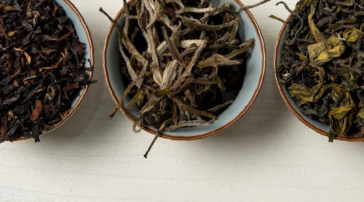 Buy Bulk Premium Darjeeling Teas - Wholesale Whole Leaf Tea Supplier – UDYAN TEA